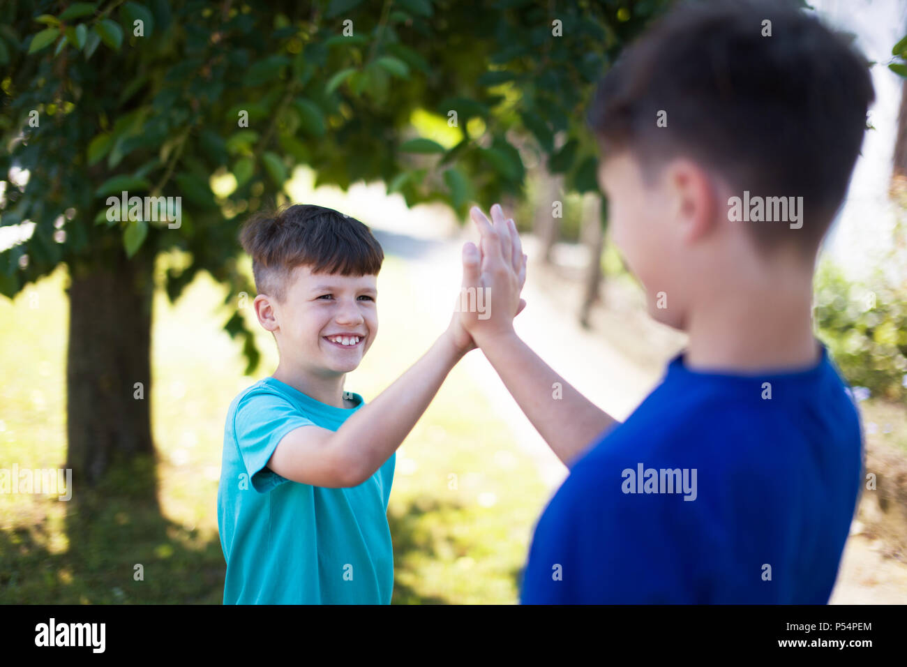 Five trees hi-res stock photography and images - Alamy