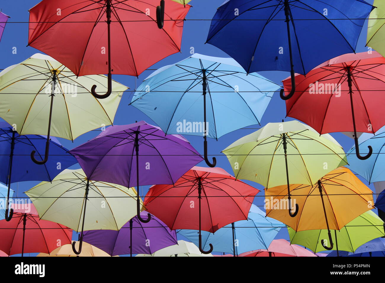 Timisoara umbrellas decoration hi-res stock photography and images - Alamy
