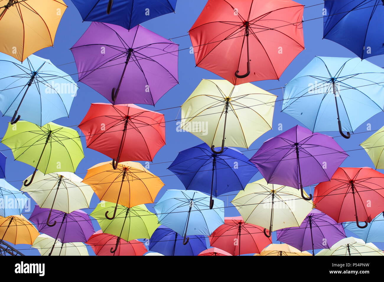 Timisoara umbrella street hi-res stock photography and images - Alamy