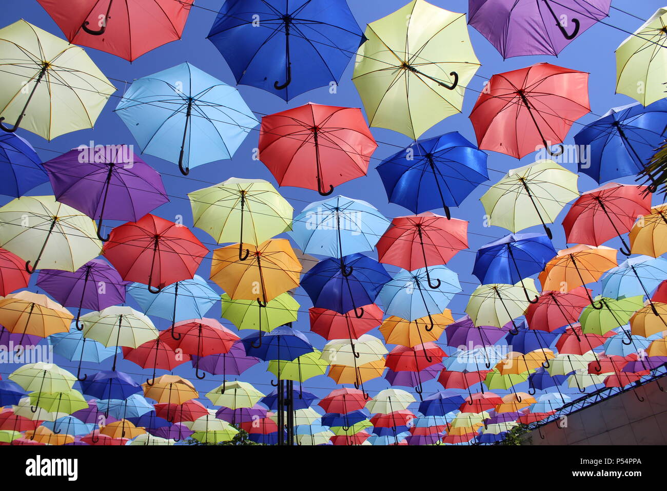 Rain umbrellas hi-res stock photography and images - Alamy