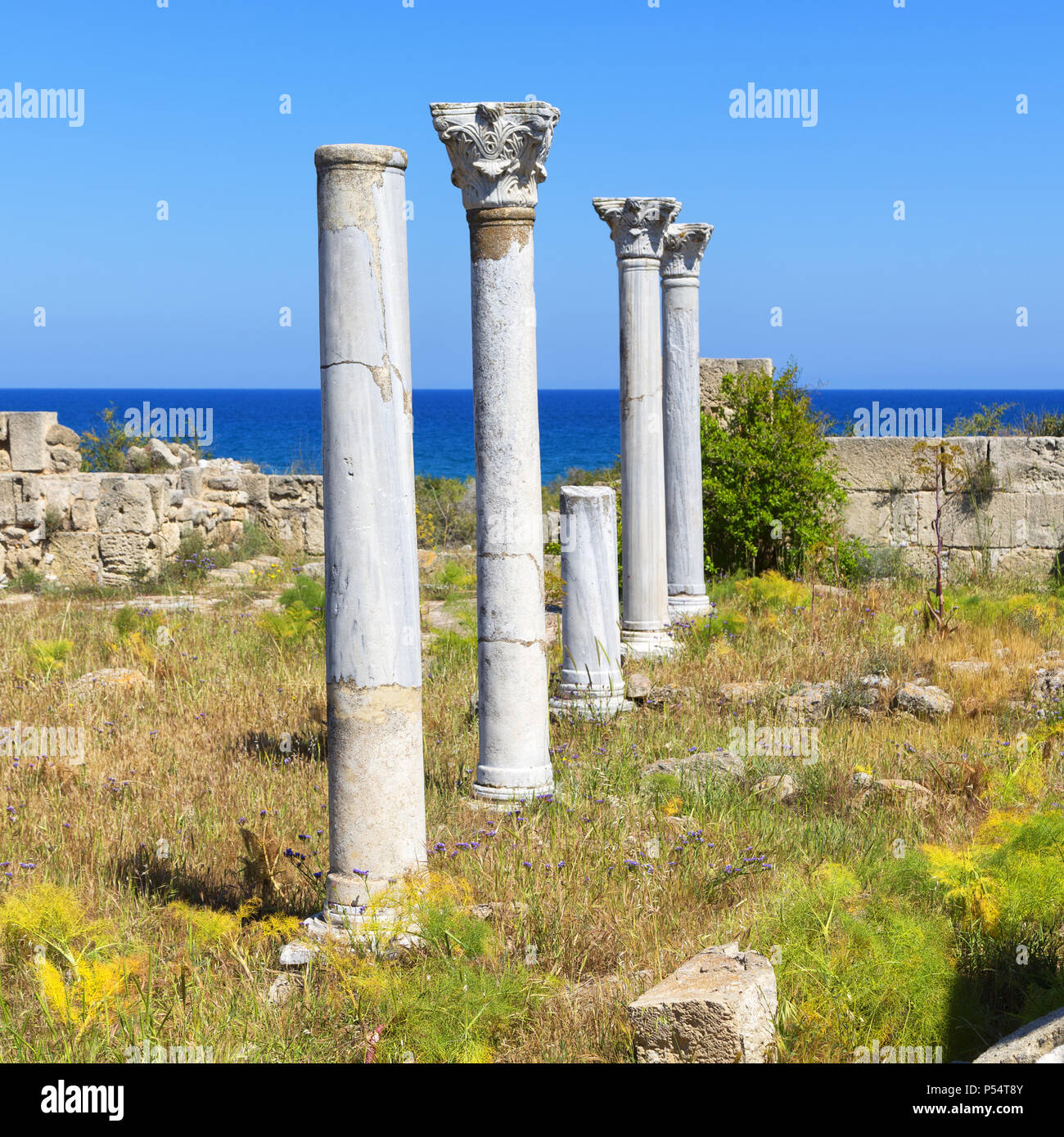 in northern of cyprus the antique city and ruins of salamina history ...