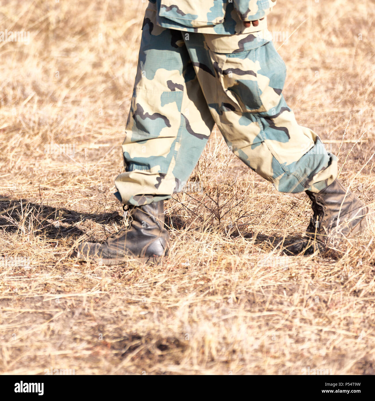 Battle of the bots hi-res stock photography and images - Alamy