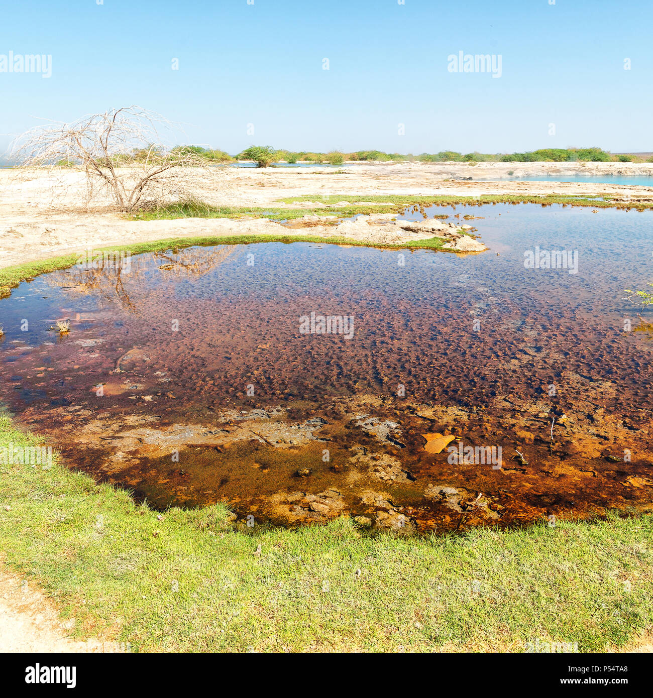in danakil ethiopia africa the volcanic depression of dallol and pole ...