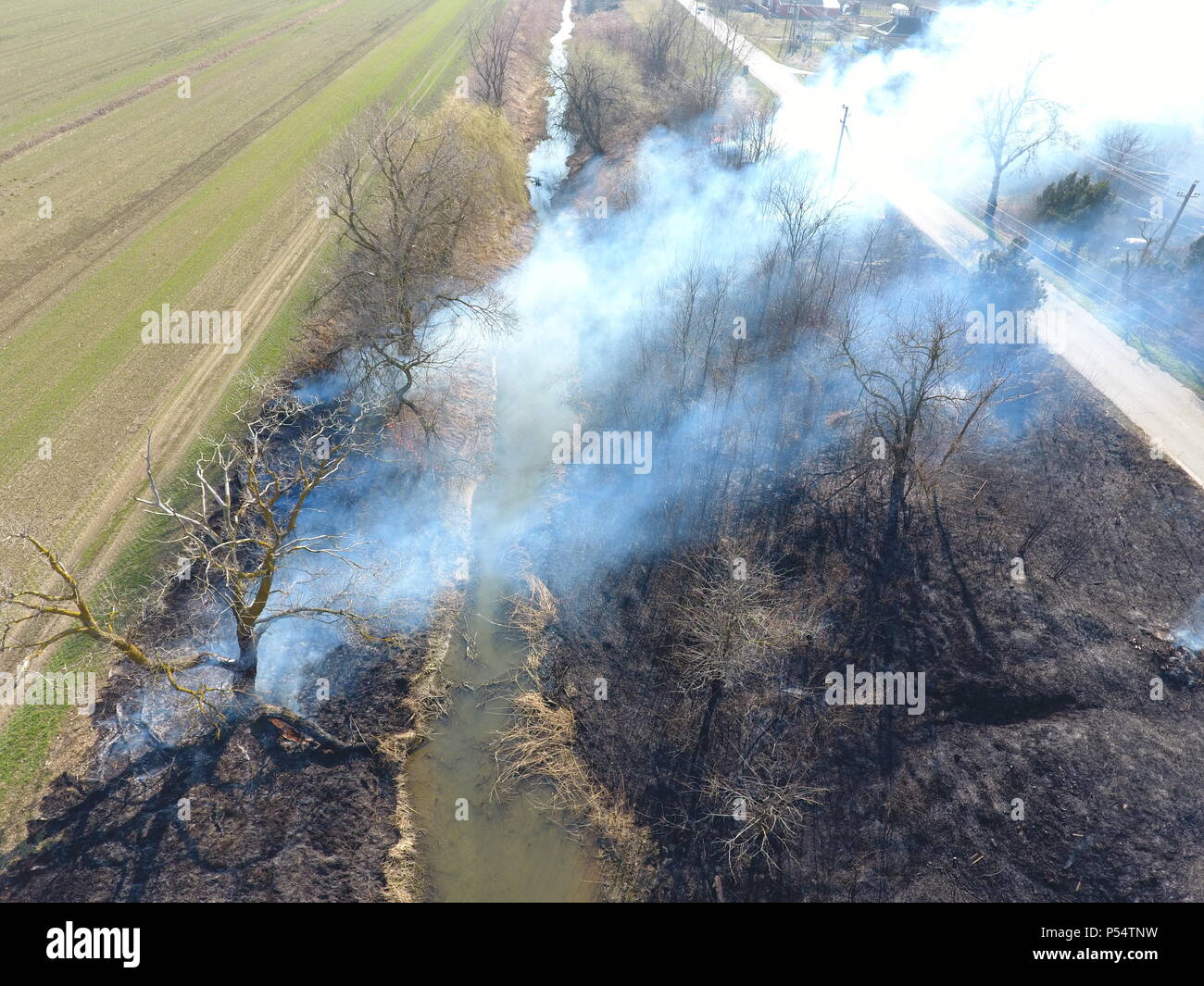 Burning dry grass along the irrigation canal. Smoke and the flame of ...