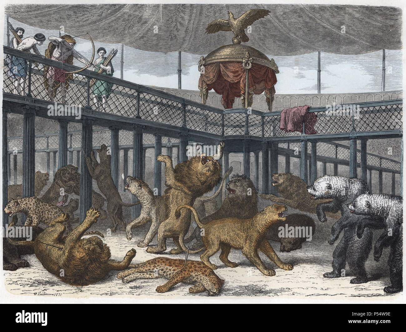 Animales Arrastrados Por La Antigua Roma Venatio Wikipedia, La