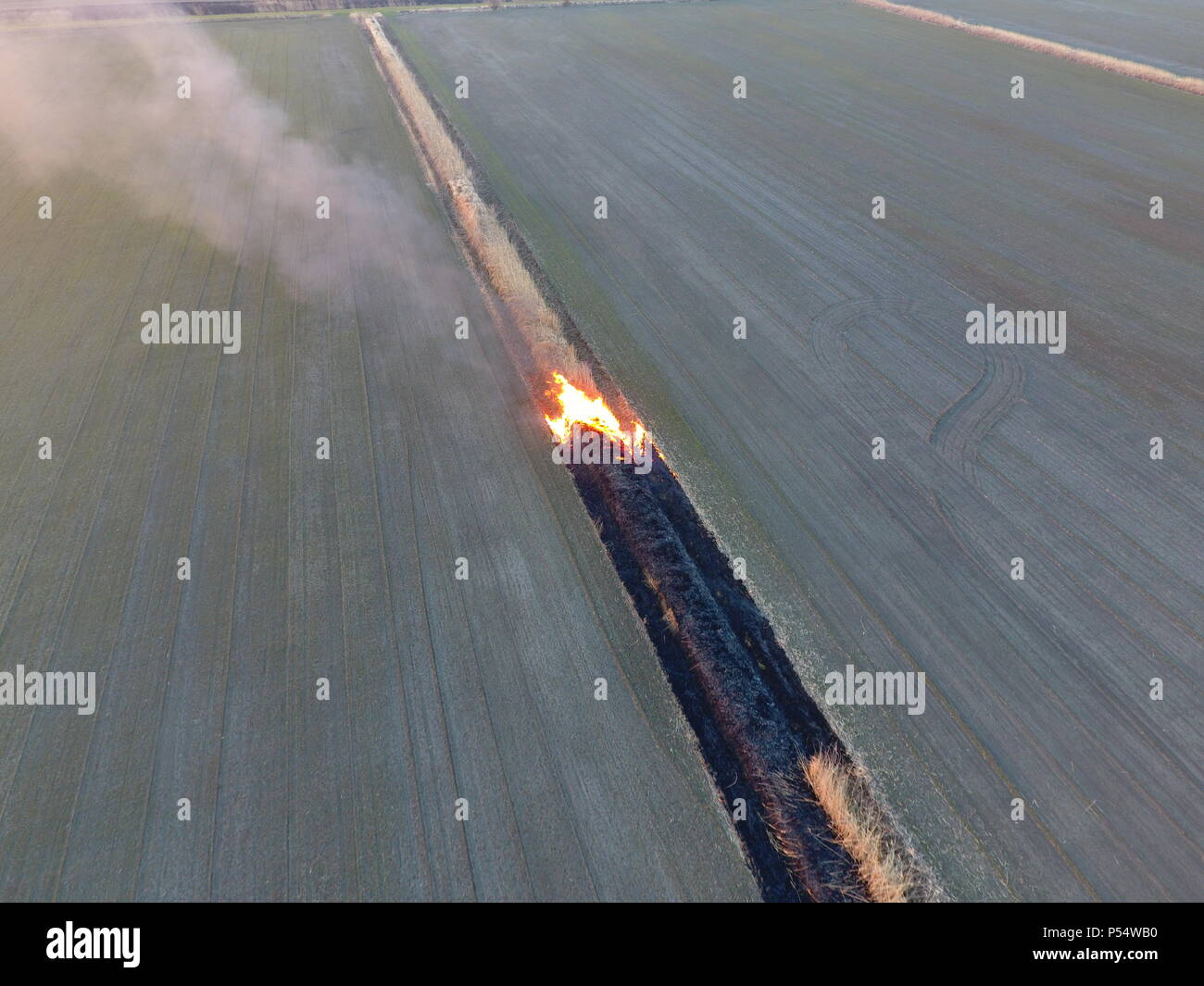 Burning dry grass along the irrigation canal. Smoke and the flame of ...