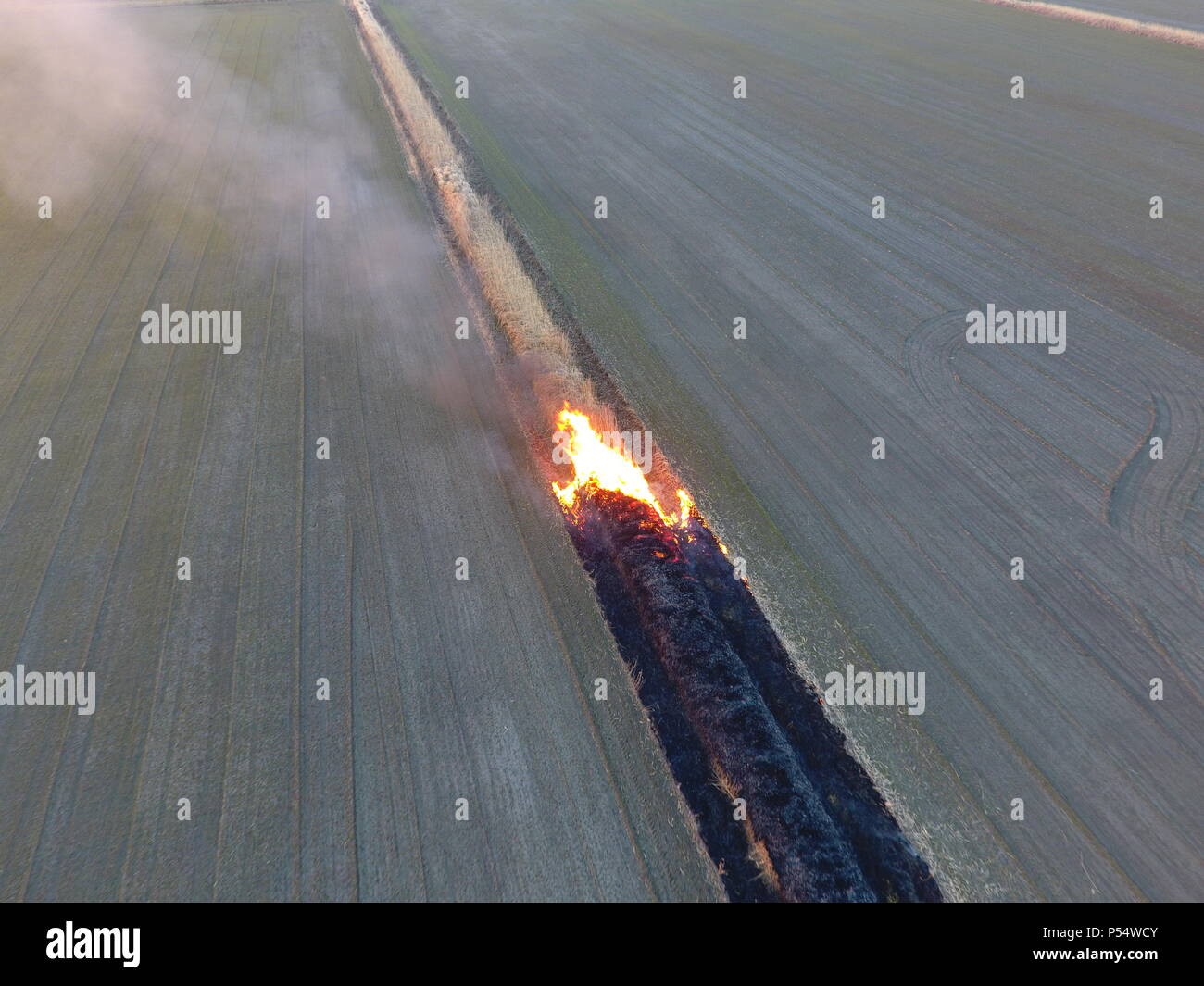 Burning dry grass along the irrigation canal. Smoke and the flame of ...