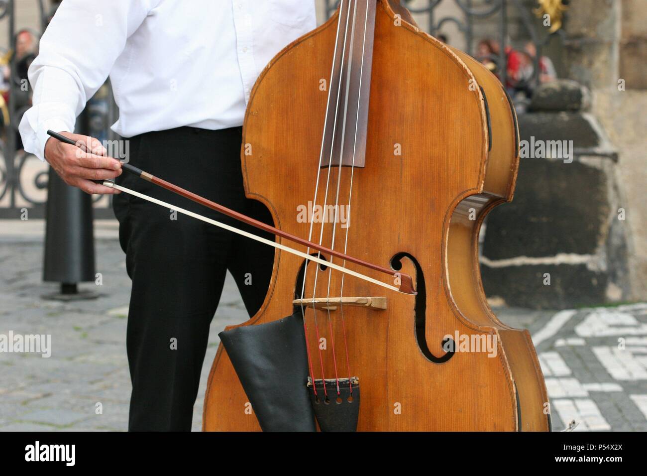 Violonchelo instrument hi-res stock photography and images - Alamy