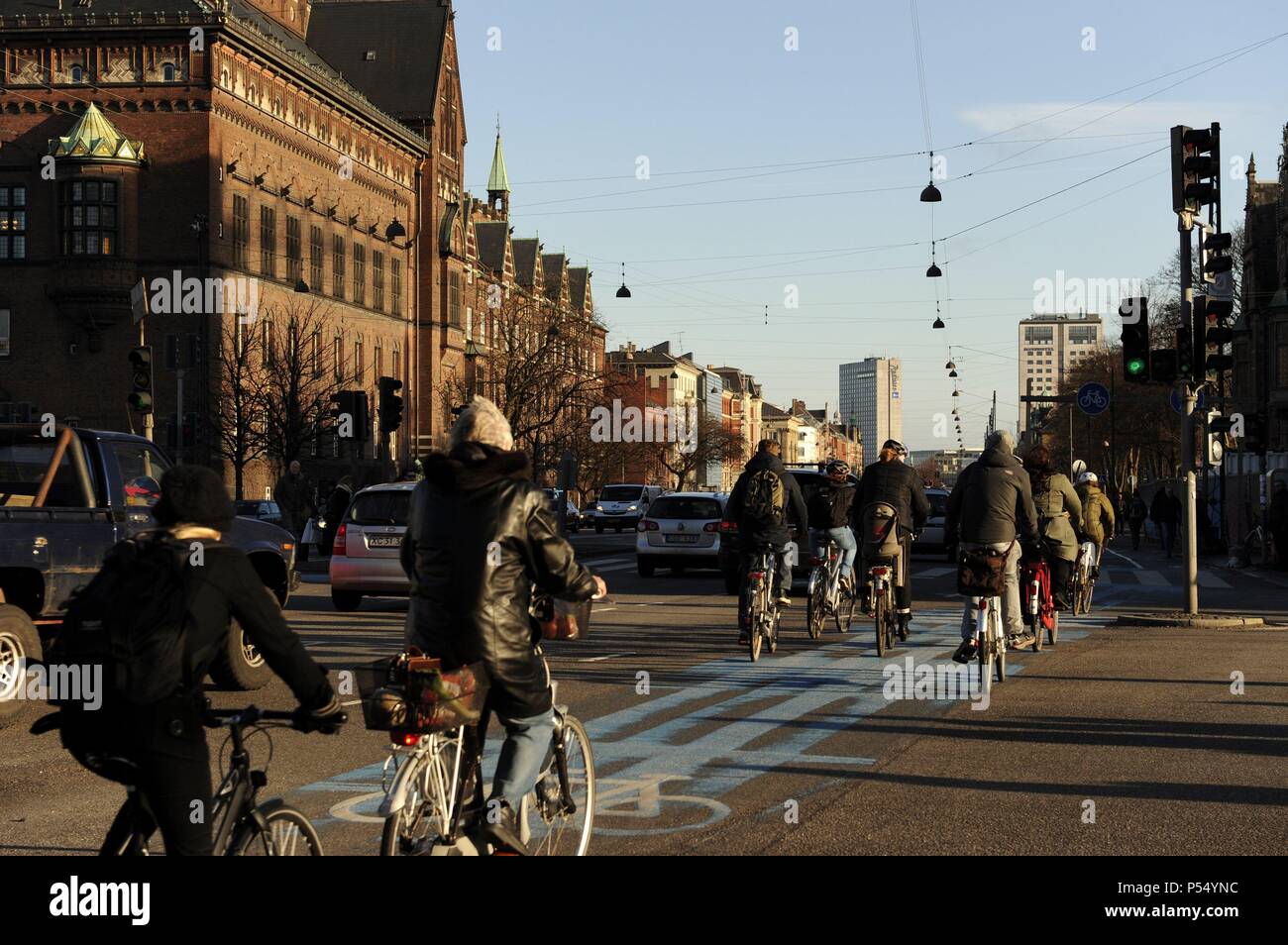 Denmark. Copenhagen. Cyclists circulating by a bike lane Stock Photo ...