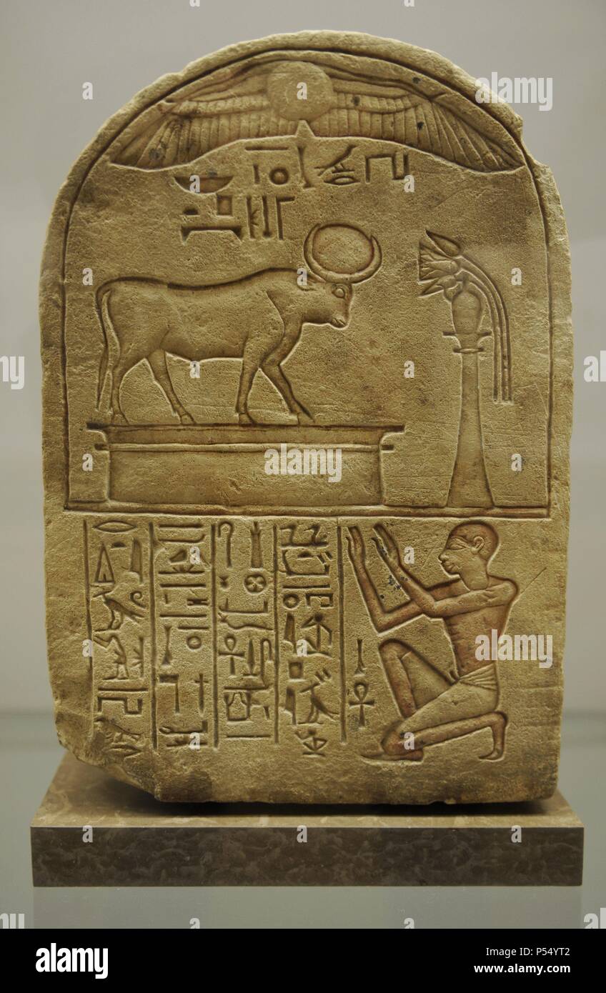 Stele dedicated to bull Mnevis by laundryman Ipi. Limestone. 19th ...