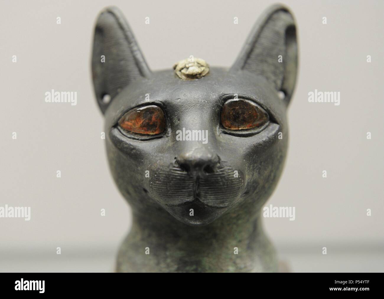 Egypt cat statue hi-res stock photography and images - Alamy