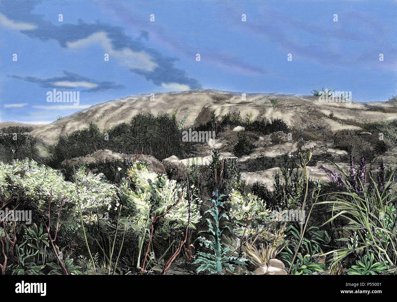 Uruguay. Piedra Alta. Place where it was agreed the country's ...