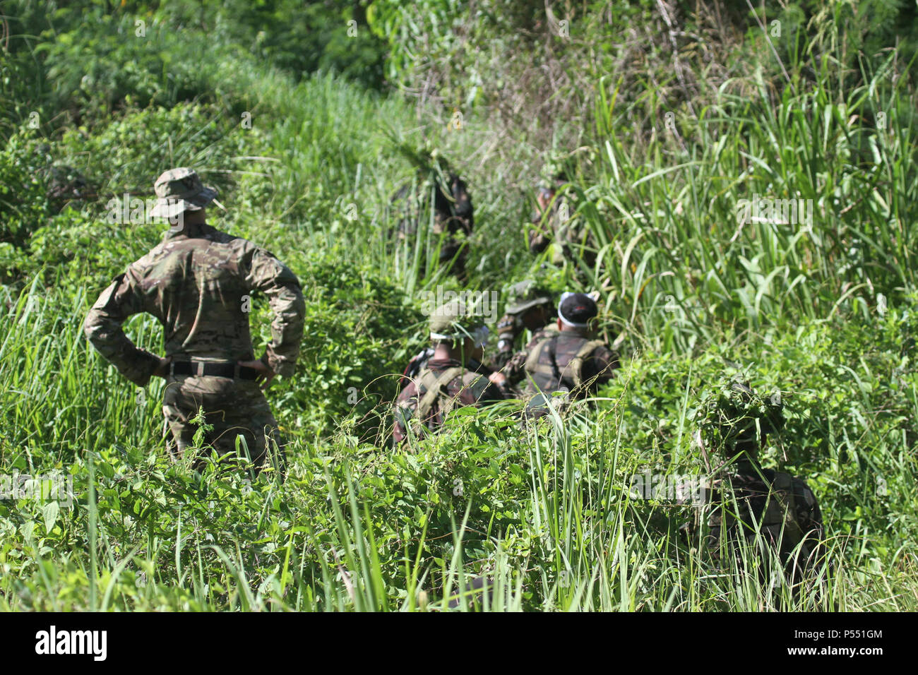 Scout ranger regiment hi-res stock photography and images - Alamy