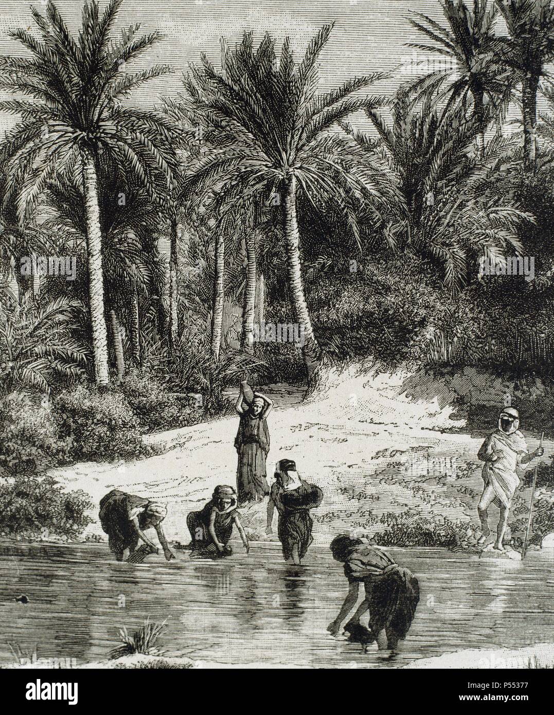 HISTORIA DE LOS ARABES. Jardines de Kafsa y río Baiech. Grabado del s ...