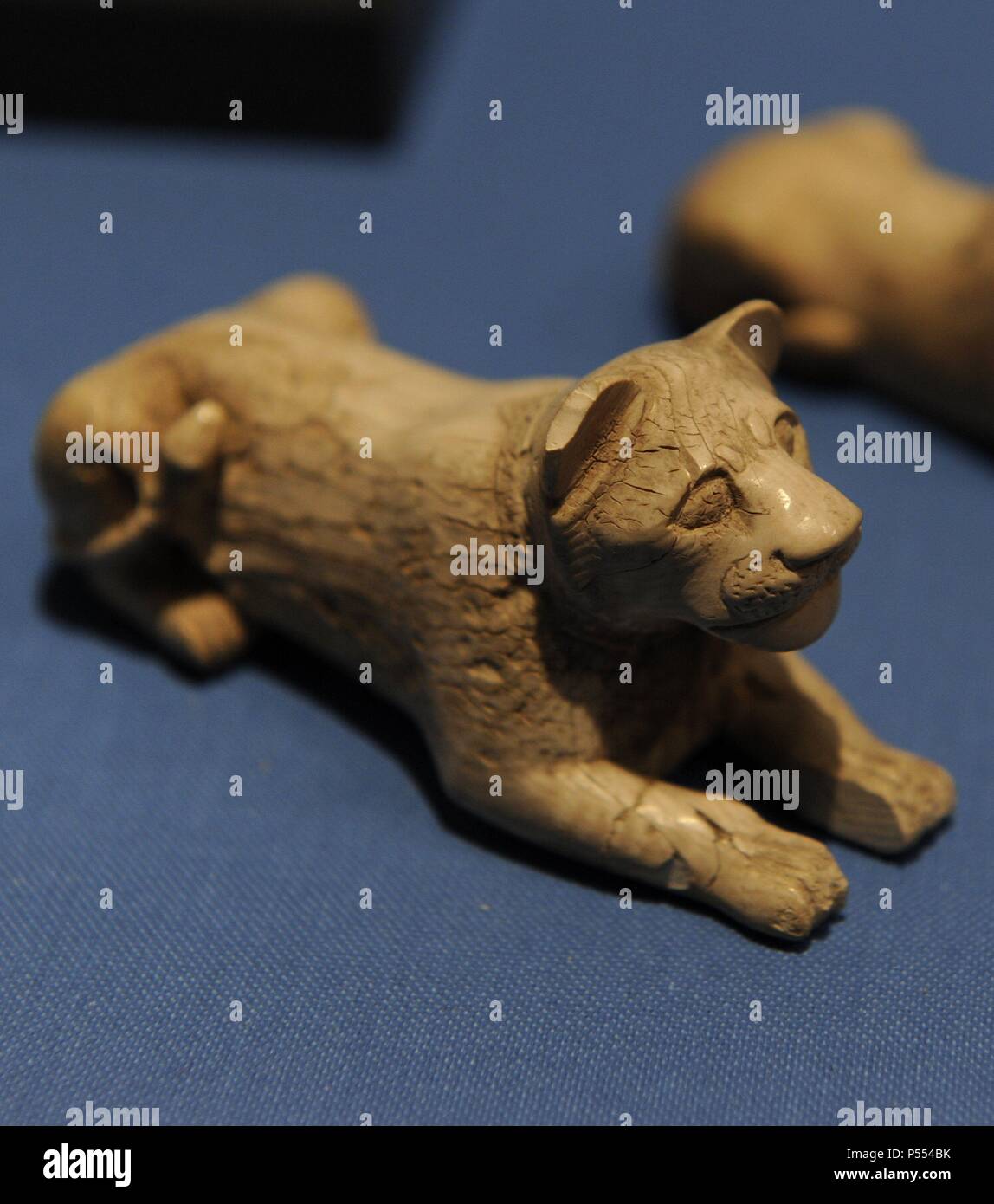 Ivory lion hi-res stock photography and images - Alamy