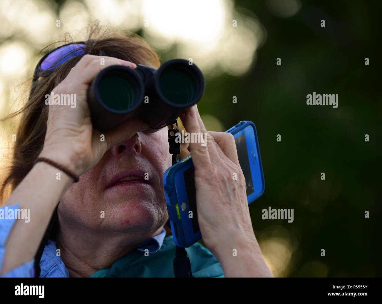 Terwilliger hi-res stock photography and images - Alamy