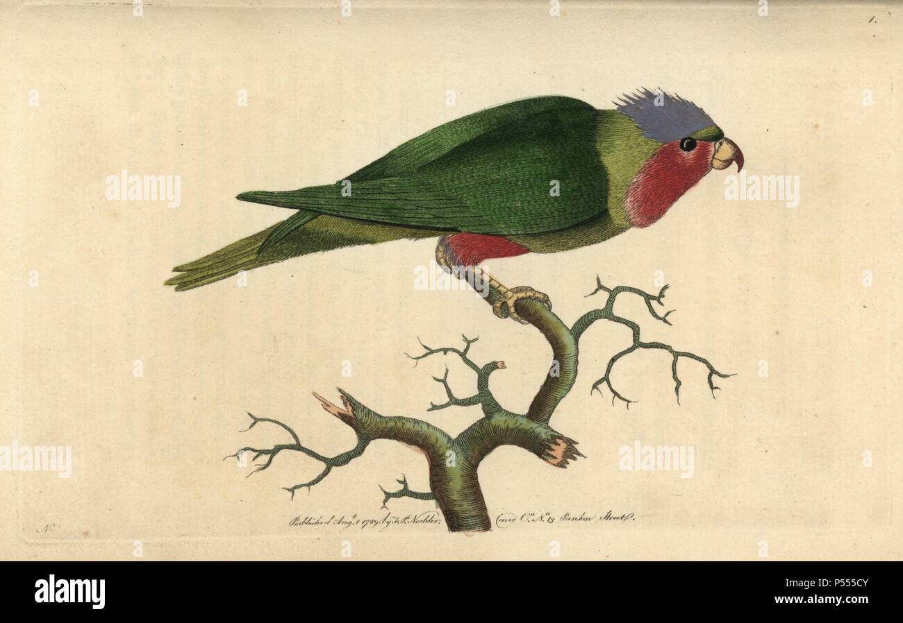 Artist working on head hi-res stock photography and images - Alamy