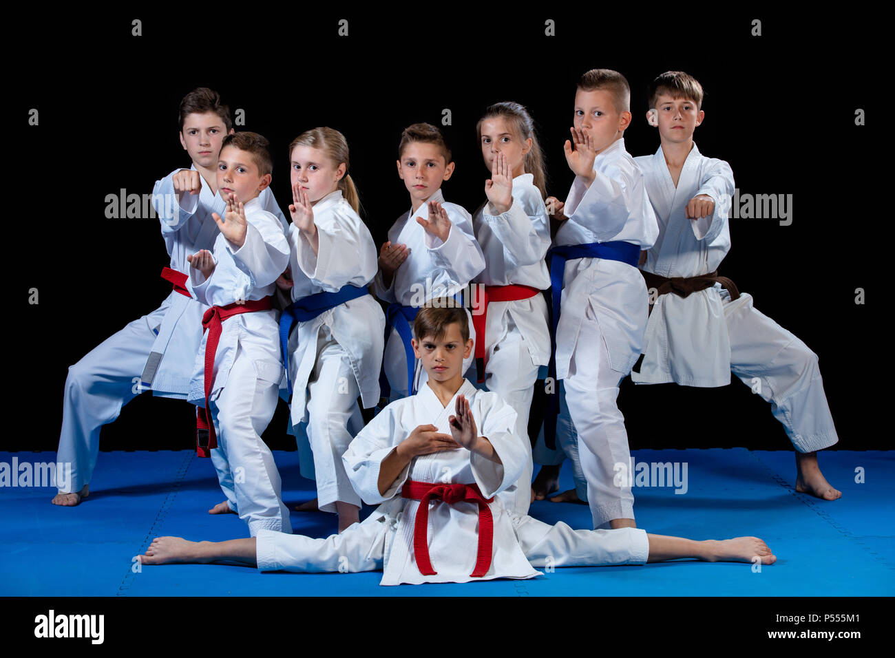 young, beautiful, successful multi ethical karate kids in karate ...