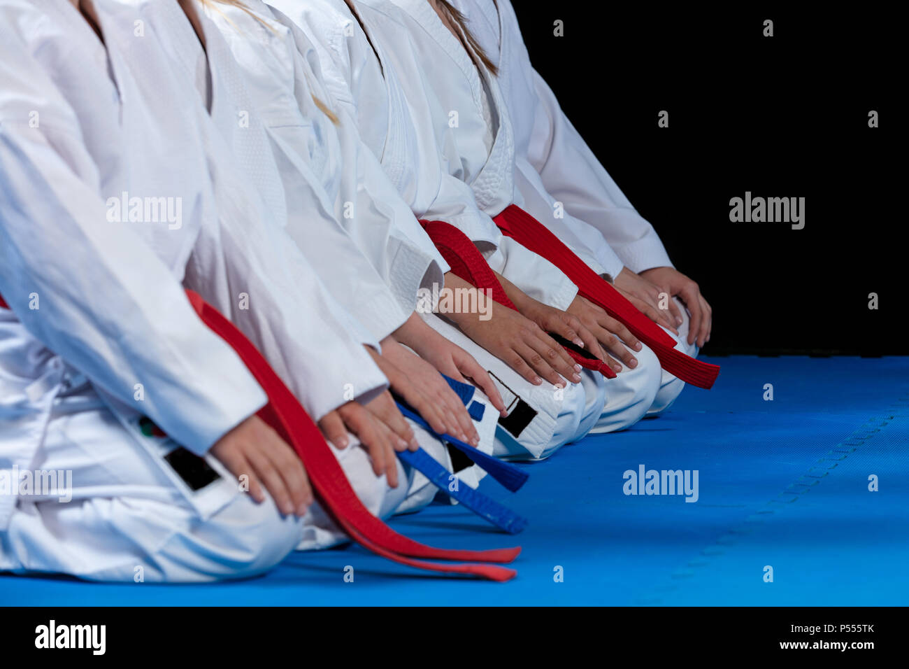 young, beautiful, successful multi ethical karate kids in karate ...