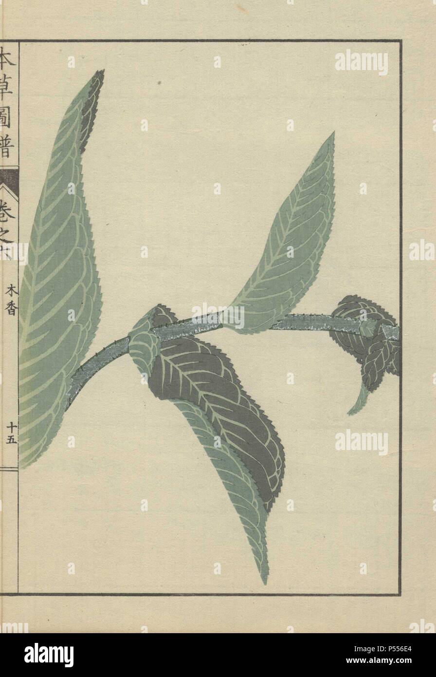 Mokkou hi-res stock photography and images - Alamy