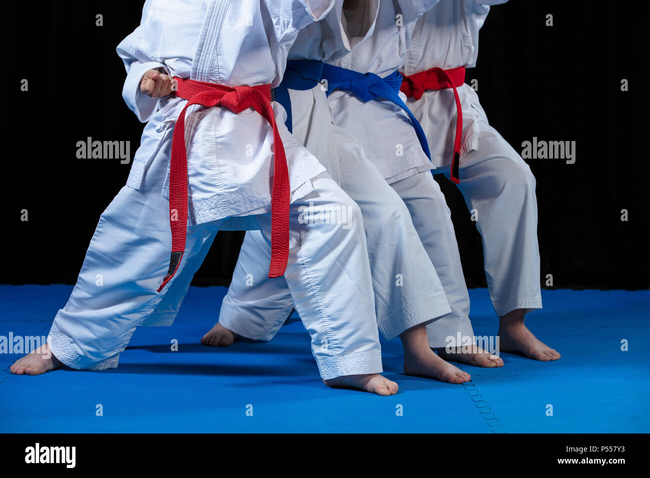 young, beautiful, successful multi ethical karate kids in karate ...