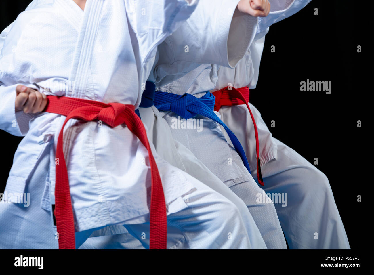 young, beautiful, successful multi ethical karate kids in karate ...