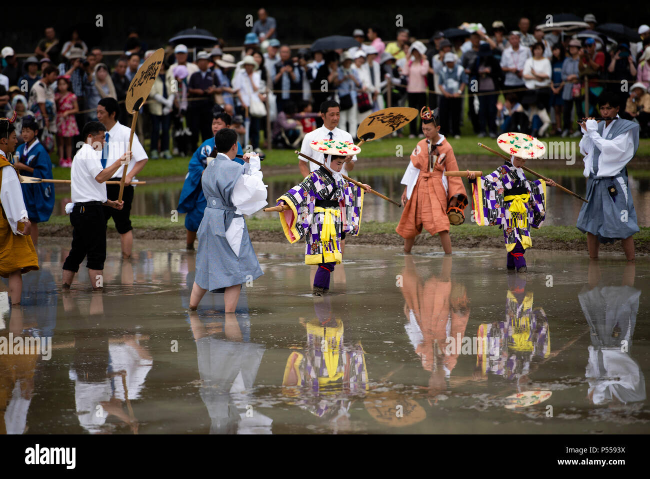 JUNE 24, 2018 - People perform traditional song and dance in a rice ...