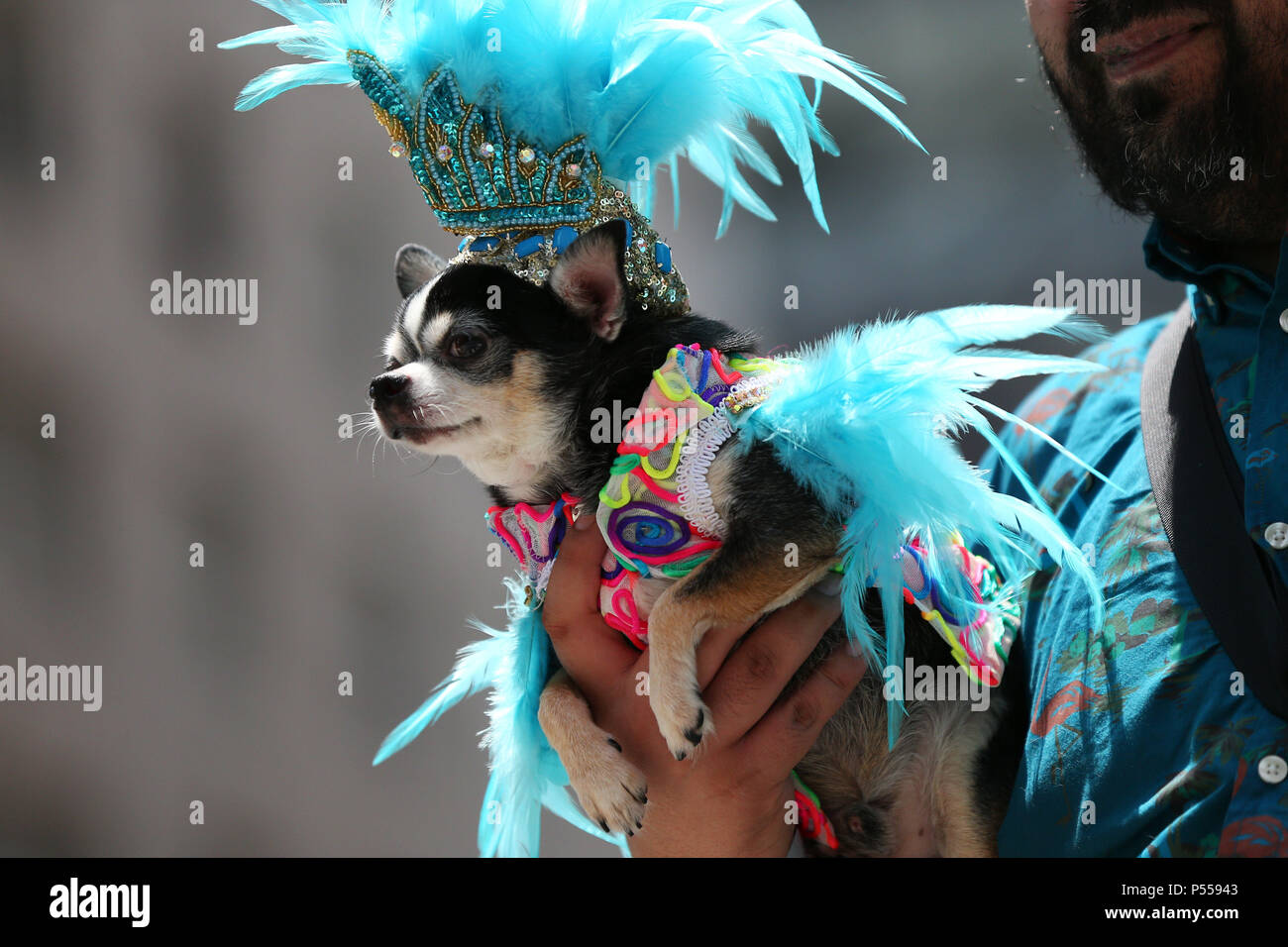 First pride parade 1970 hi-res stock photography and images - Alamy