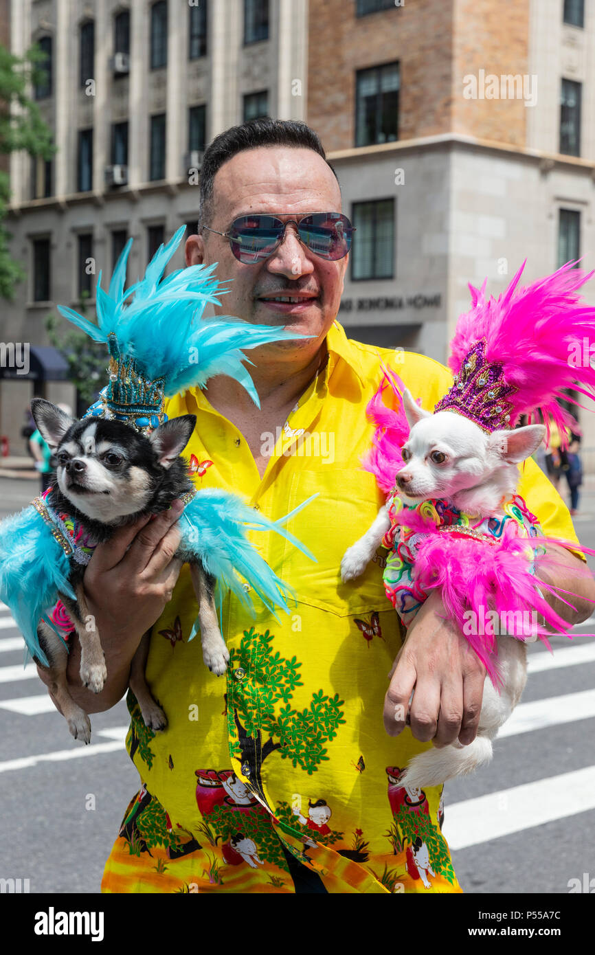 New York, NY - June 24, 2018: Designer Anthony Rubio attends 49th ...