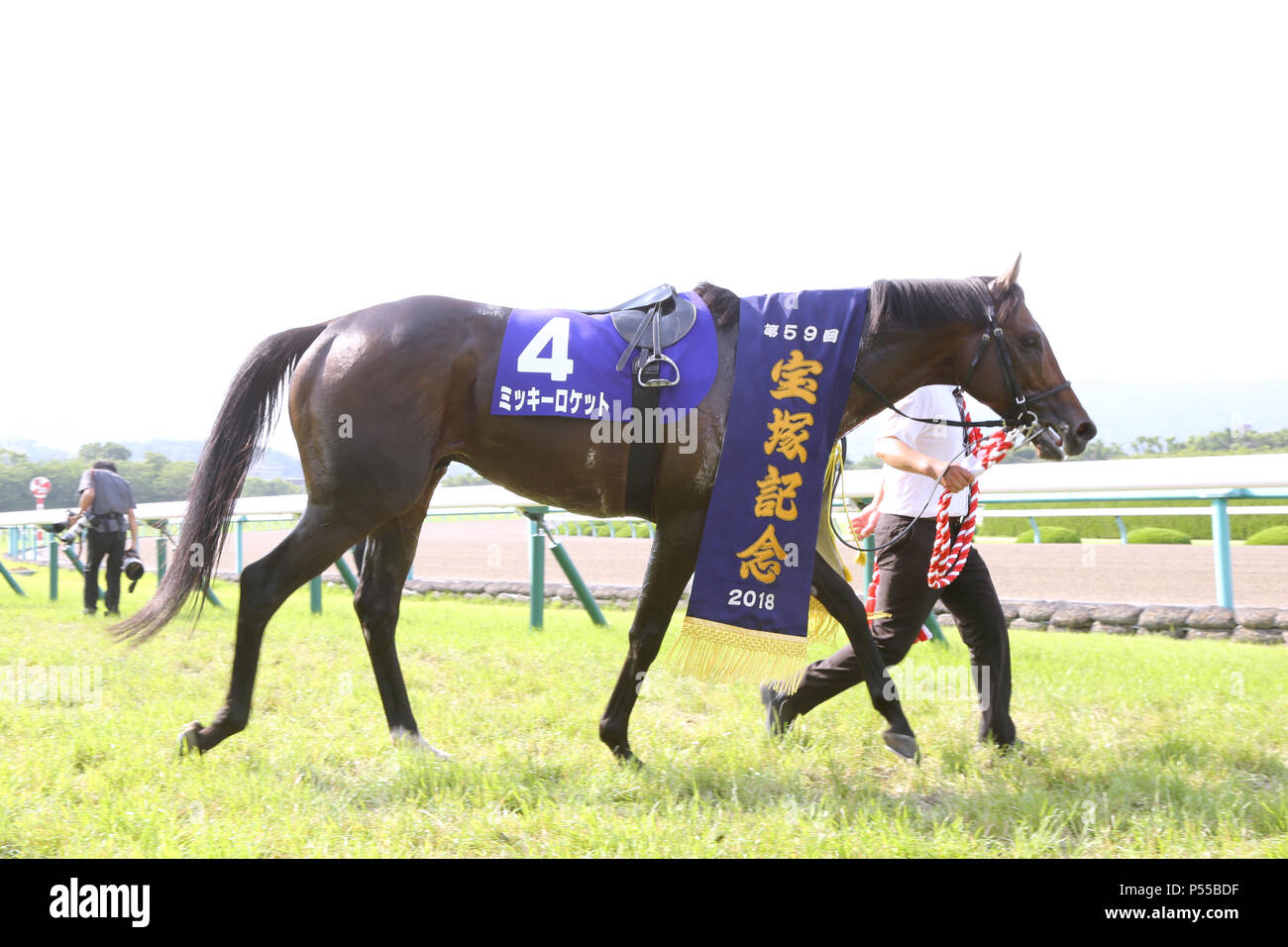 Rocket horse hi-res stock photography and images - Alamy