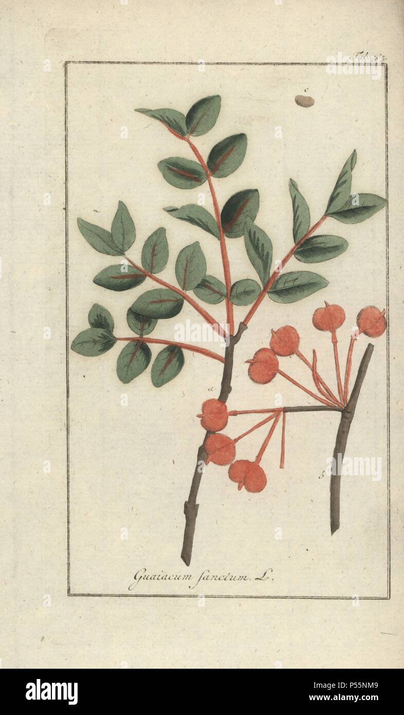 Guaiac resin hi-res stock photography and images - Alamy