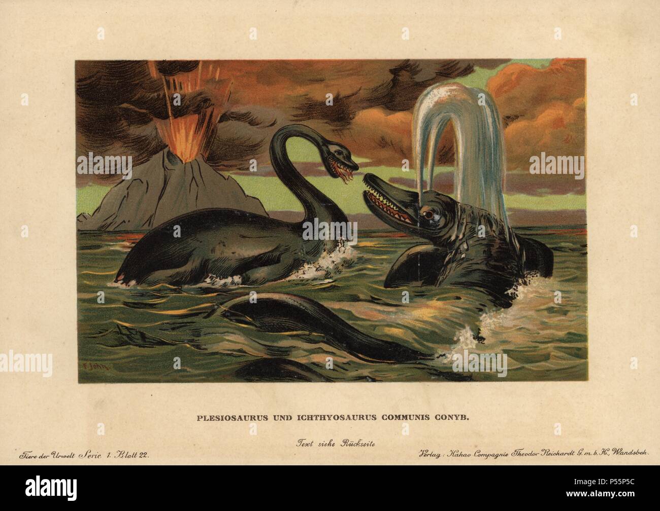 Plesiosaurus, extinct aquatic carnivore, and ichthyosaurus communis ...