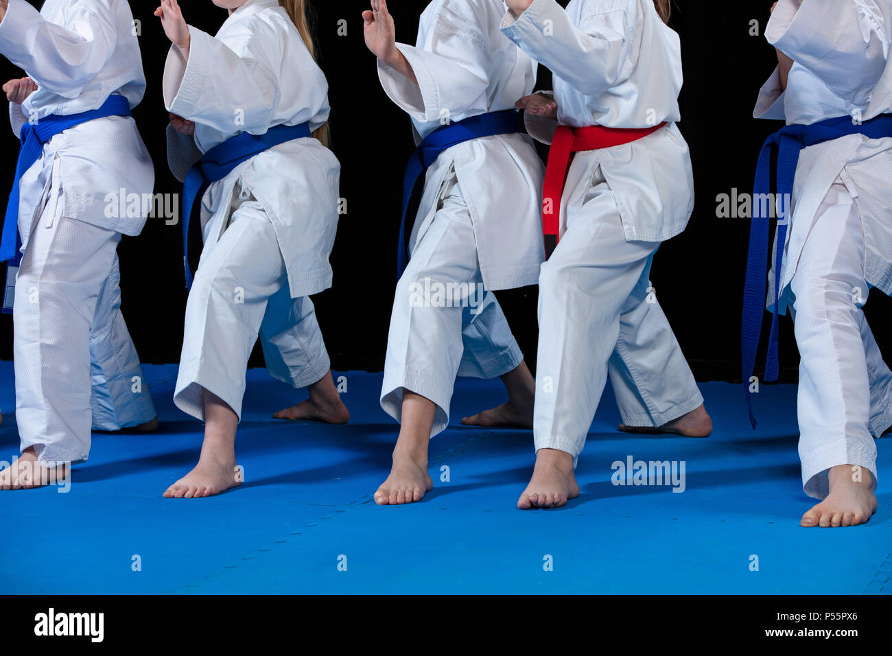 young, beautiful, successful multi ethical karate kids in karate ...