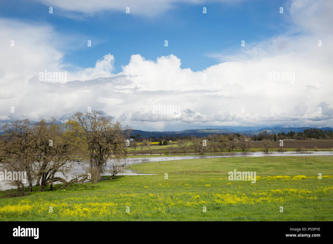 Laguna de Santa Rosa wetland after a rain Stock Photo - Alamy