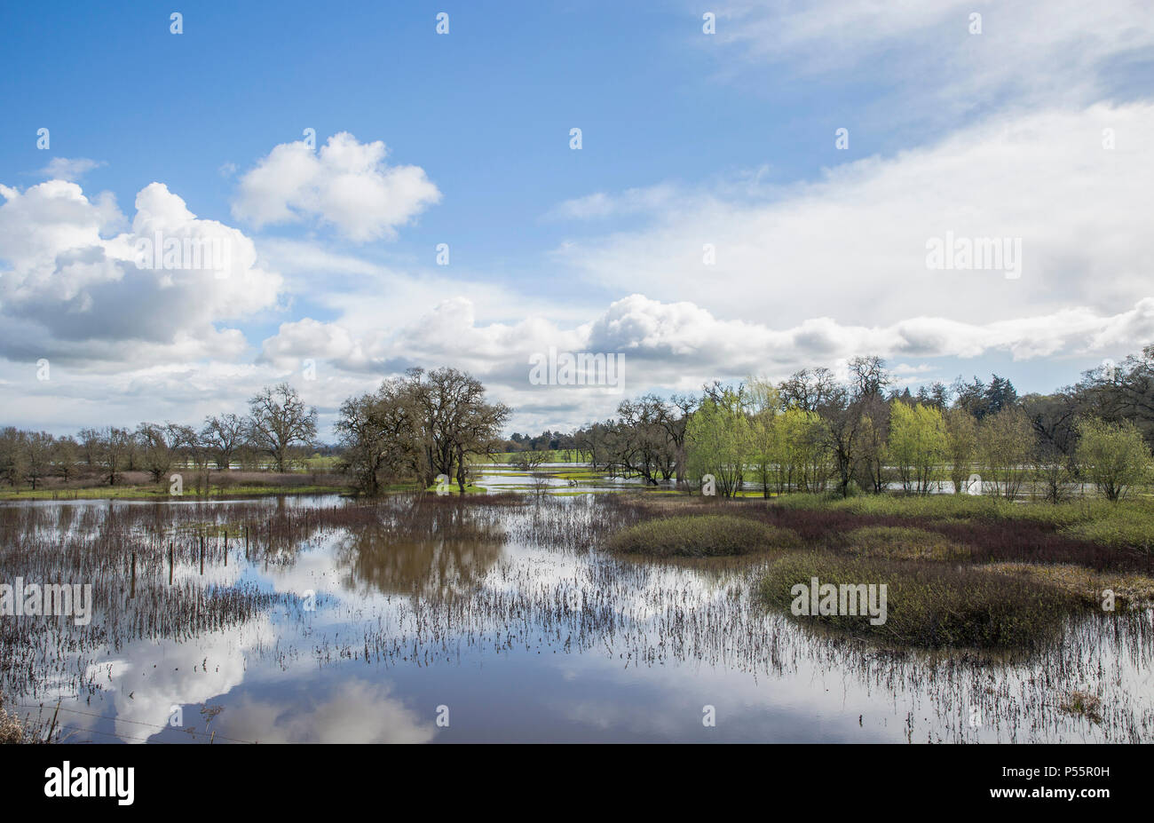 Laguna de Santa Rosa wetland after a rain Stock Photo - Alamy