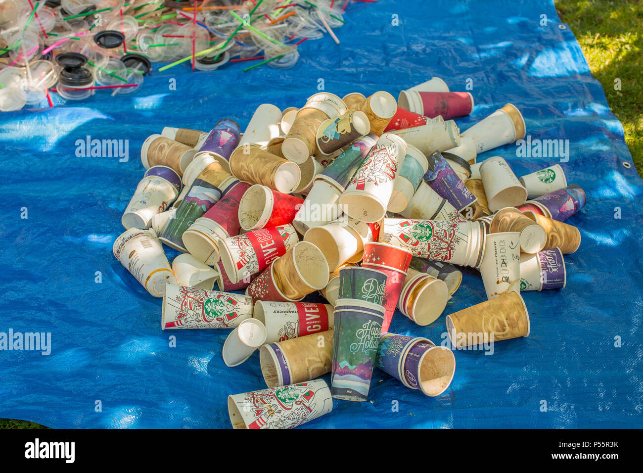 Piles of non-recyclable cups and straws destined for the landfill Stock ...