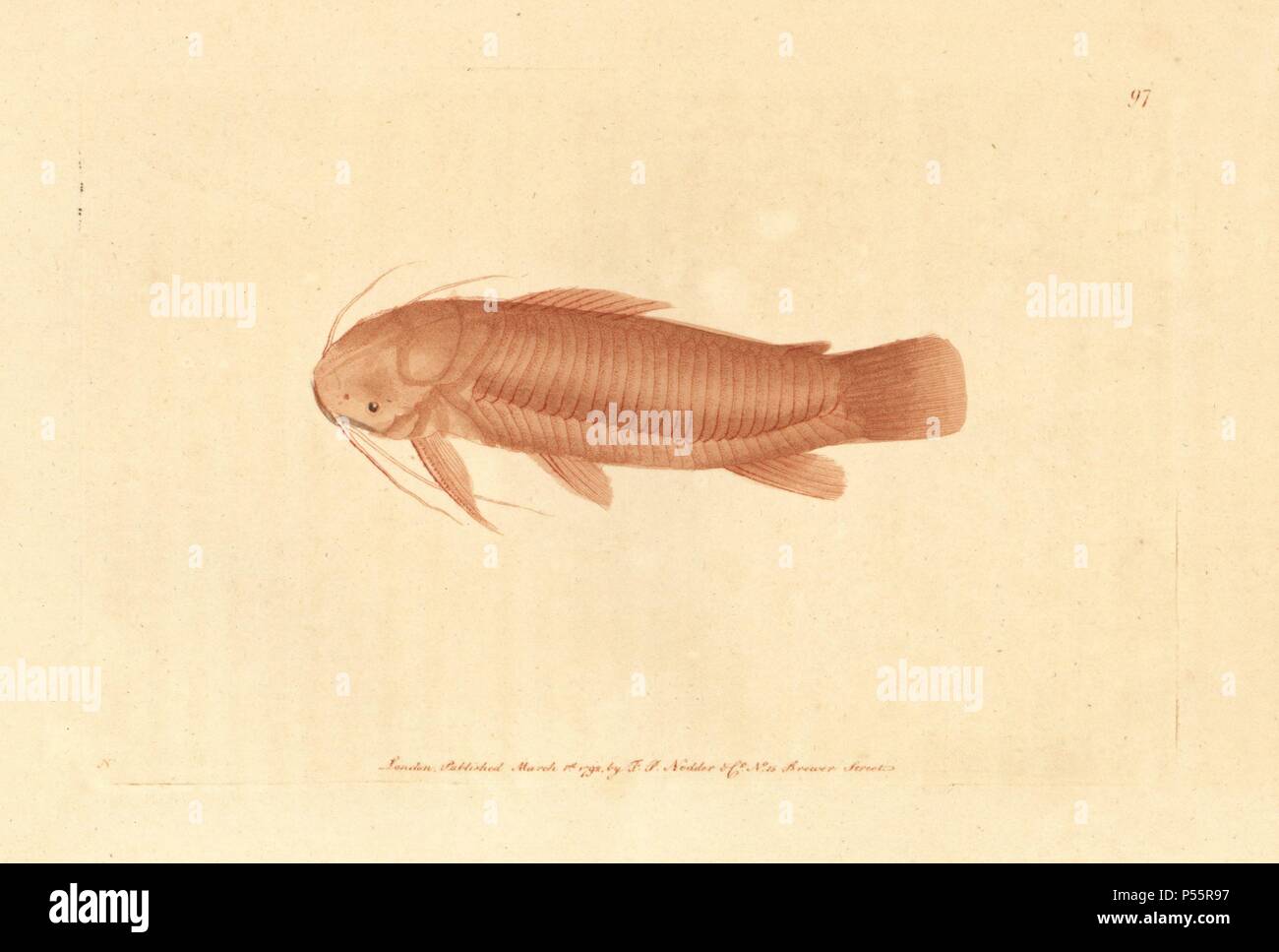 1792 179 hi-res stock photography and images - Alamy