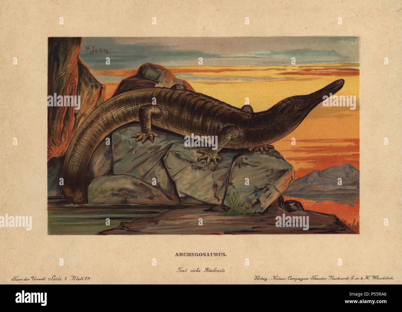 Permian amphibia hi-res stock photography and images - Alamy