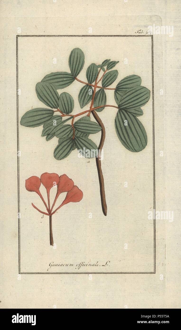 Guaiac resin hi-res stock photography and images - Alamy