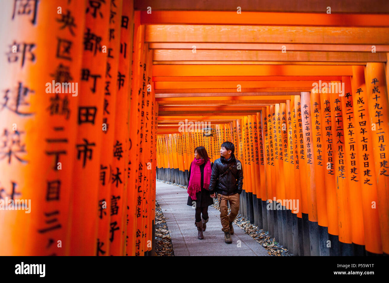 Torii gates at Fushimi Inari-Taisha sanctuary,Kyoto, Japan Stock Photo ...