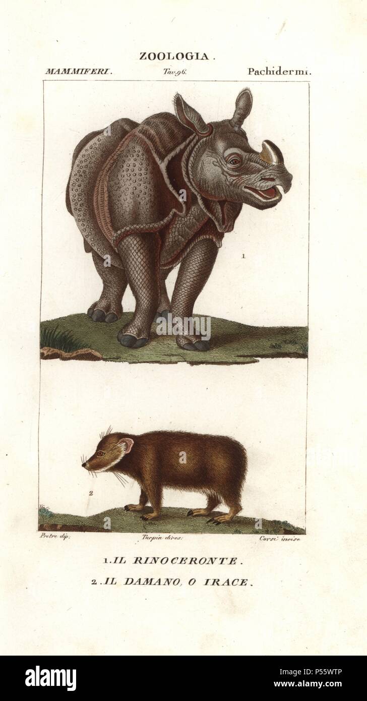 Ciencia e historia natural hi-res stock photography and images - Alamy