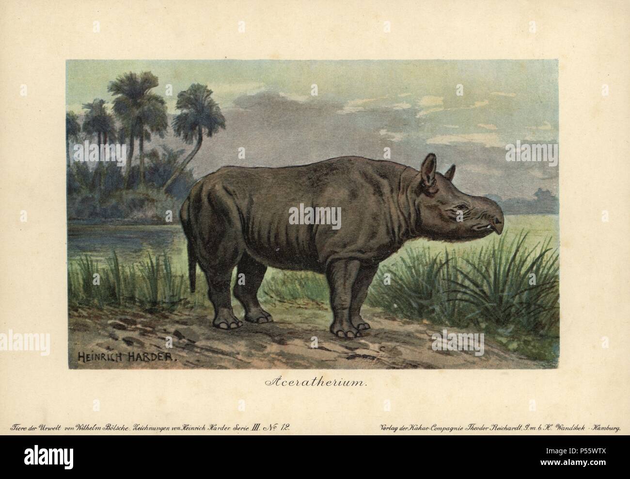 Pliocene epoch hi-res stock photography and images - Alamy