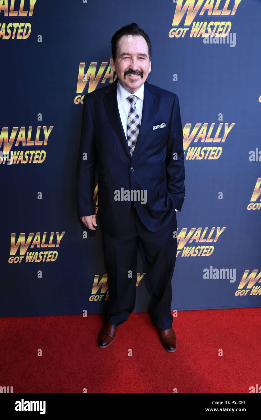 Los Angeles Premiere of 'Wally Got Wasted' at the Harmony Gold Preview ...