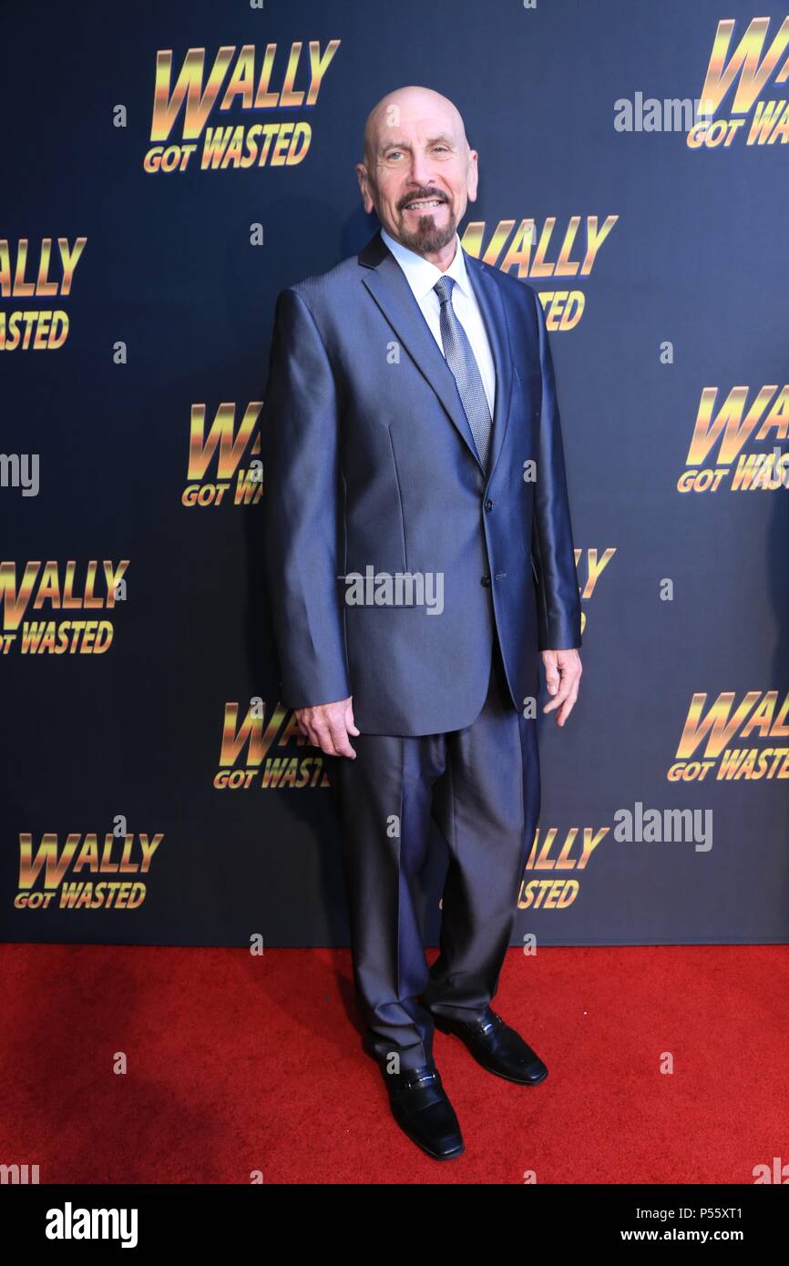 Los Angeles Premiere of 'Wally Got Wasted' at the Harmony Gold Preview ...