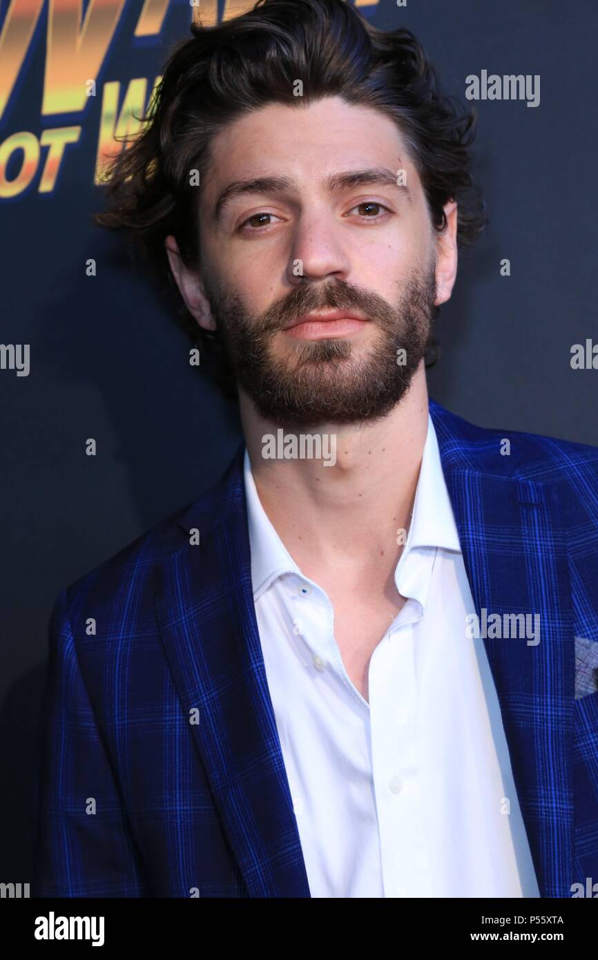 Los Angeles Premiere of 'Wally Got Wasted' at the Harmony Gold Preview ...