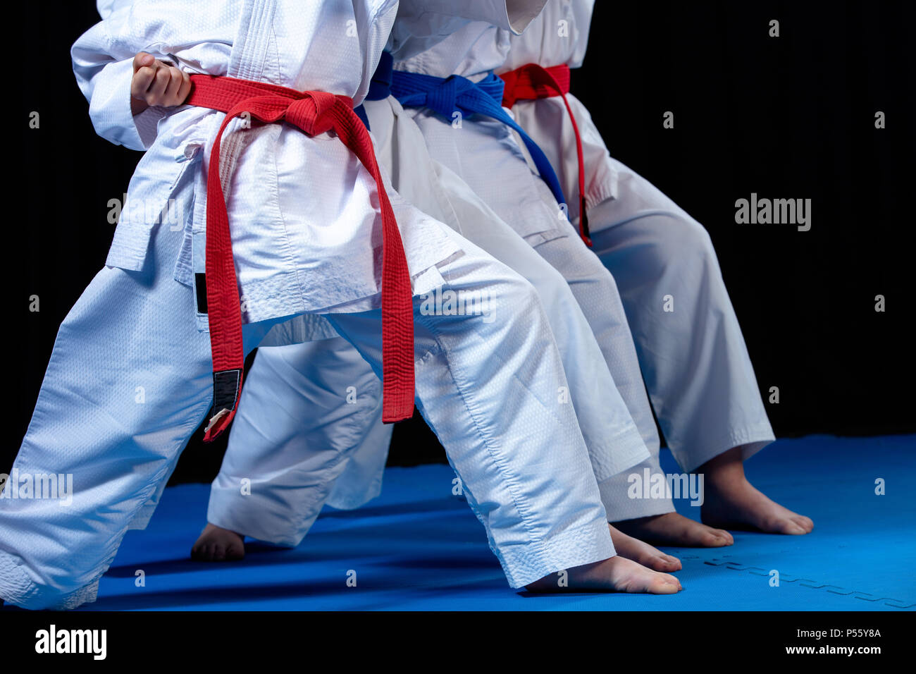 young, beautiful, successful multi ethical karate kids in karate ...