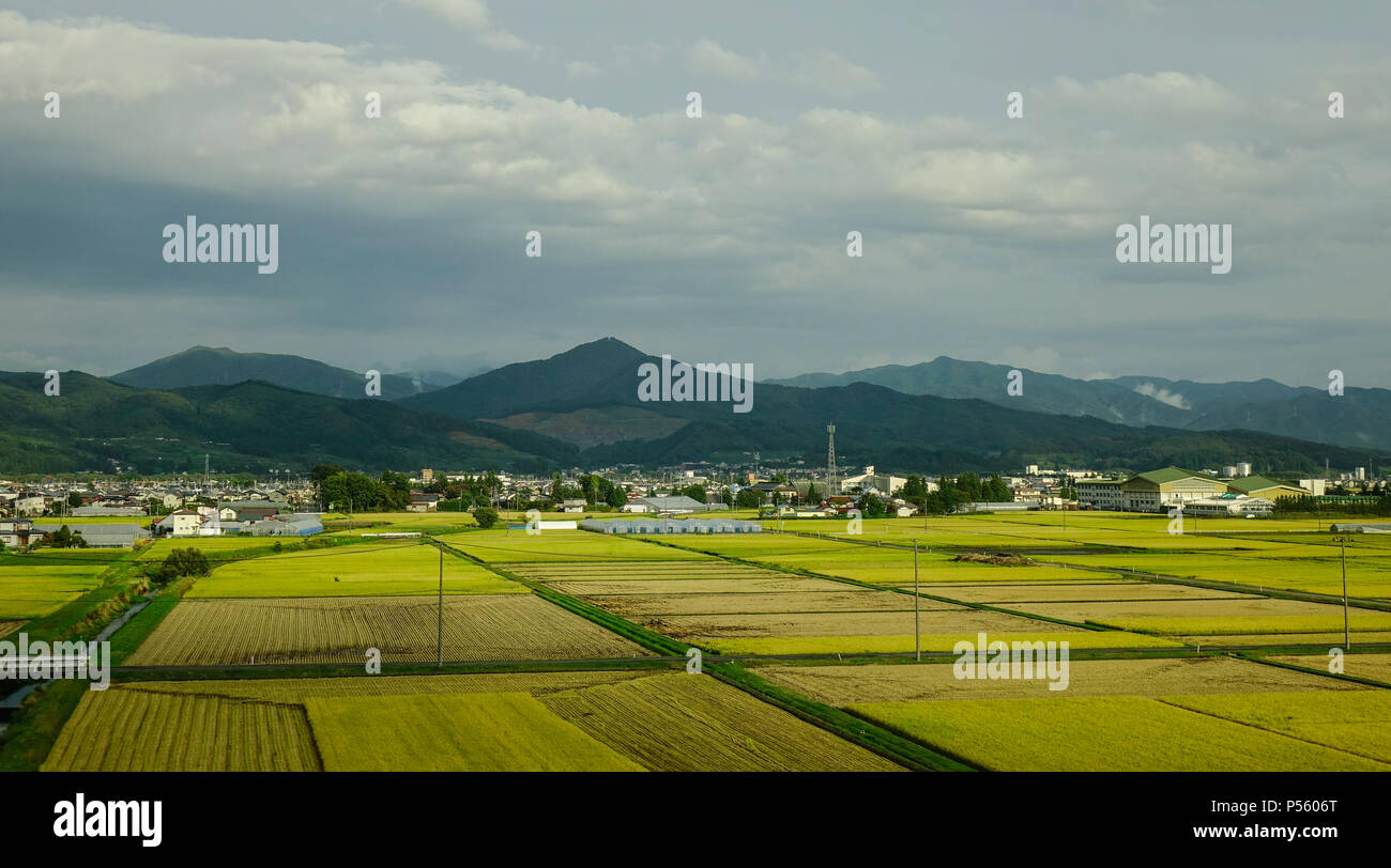 Spring rice field akita japan hi-res stock photography and images - Alamy