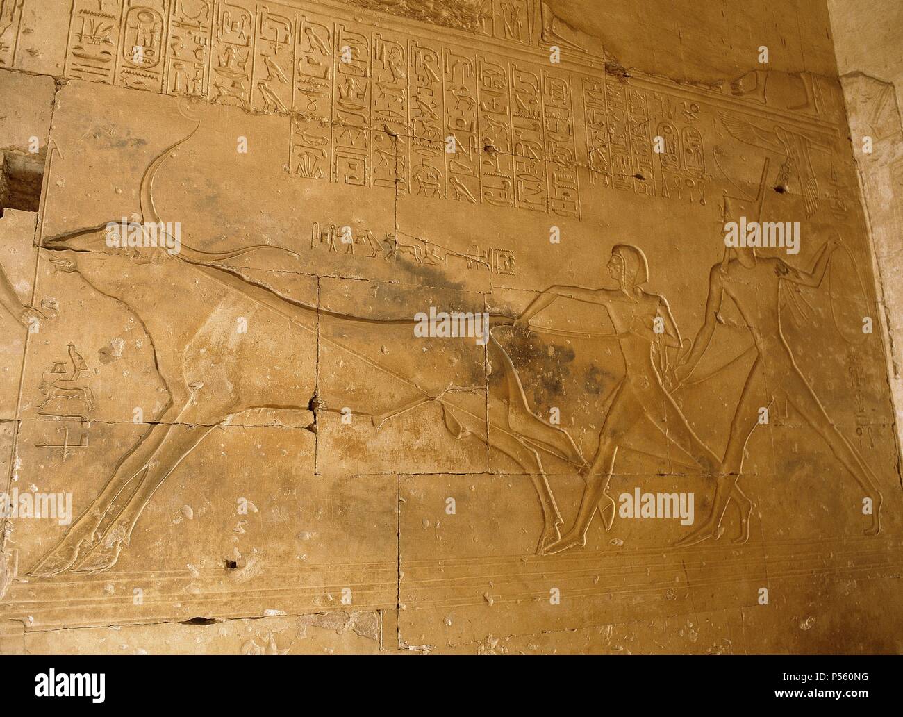 ARTE EGIPCIO. TEMPLO DE SETI I. Bajo relieve con la representación de ...