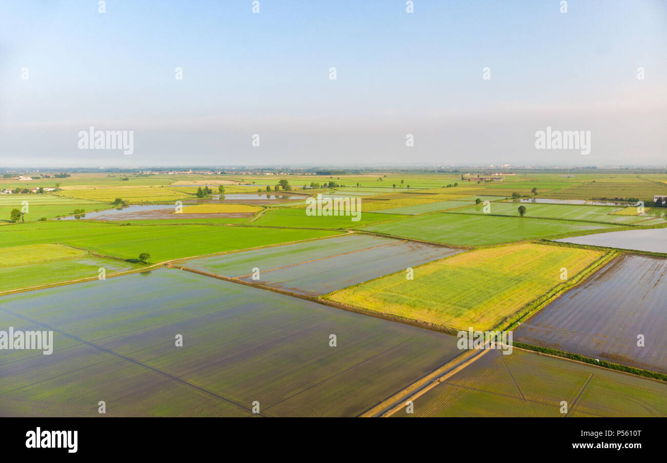 Rice paddies aerial hi-res stock photography and images - Alamy