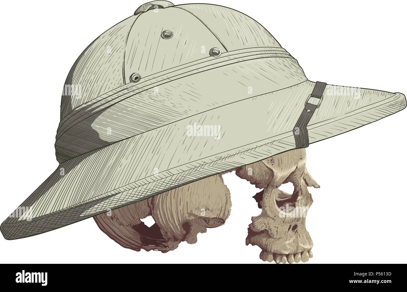 Vintage skull anatomy hi-res stock photography and images - Alamy